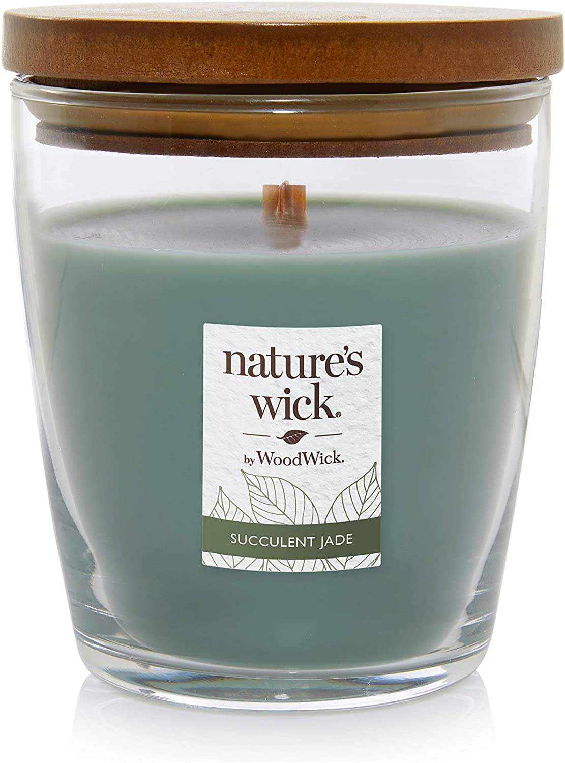 Nature's Wick Succulent Jade Scented Candle, 10 oz — Goisco.com