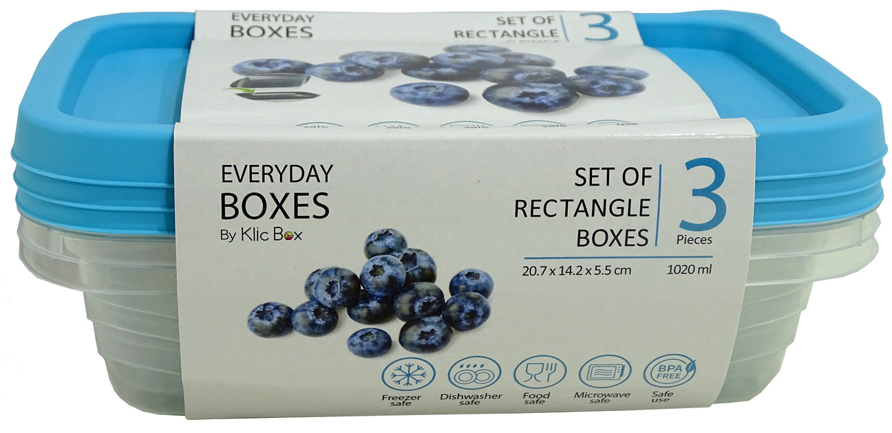 Everyday Boxes, Blue, 3 x 1.02 L — Goisco.com