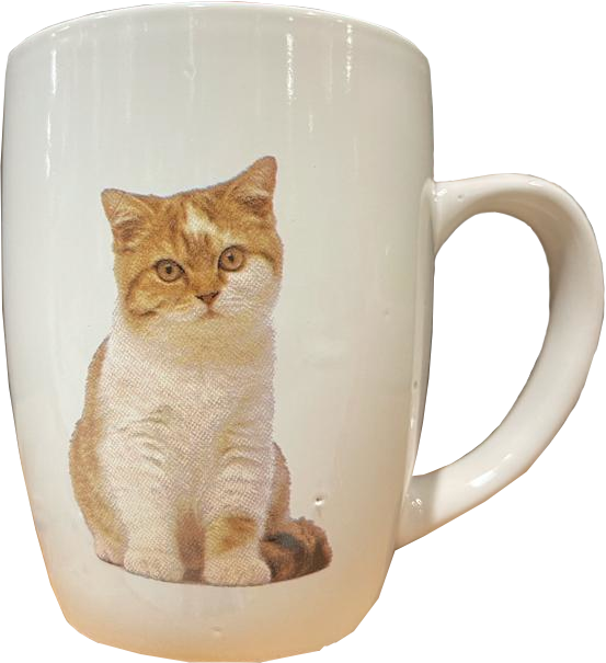 Coffee Mug , 300 ml — Goisco.com