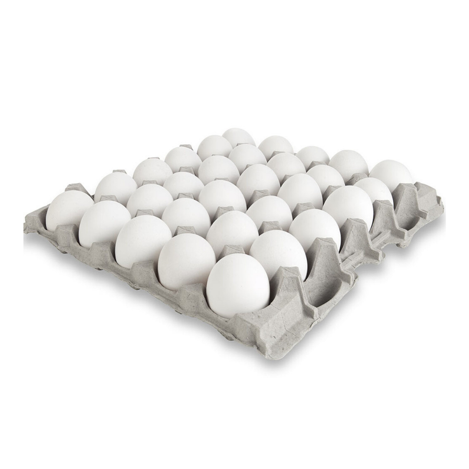 Eggs Case, 30 pcs (White) — Goisco.com
